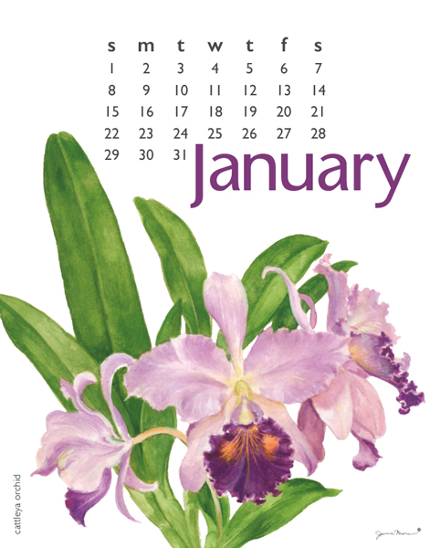 2023 Calendar : Compliments Gallery