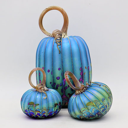 Jack Pine : Compliments Gallery