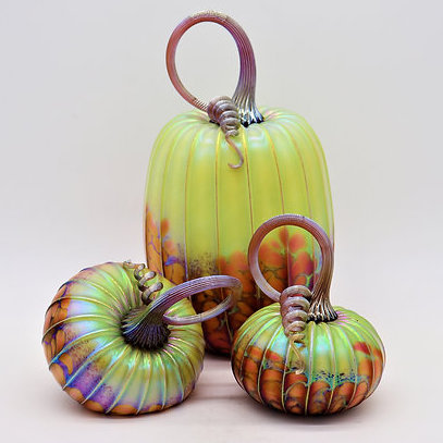 Jack Pine : Compliments Gallery