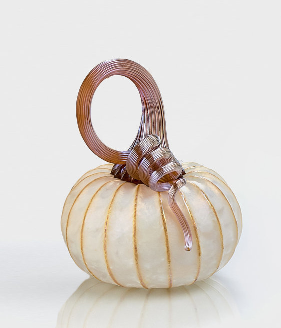 Jack Pine : Compliments Gallery