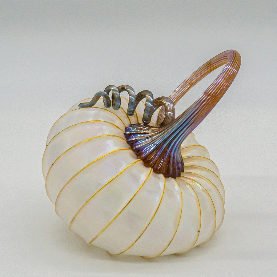 Jack Pine : Compliments Gallery