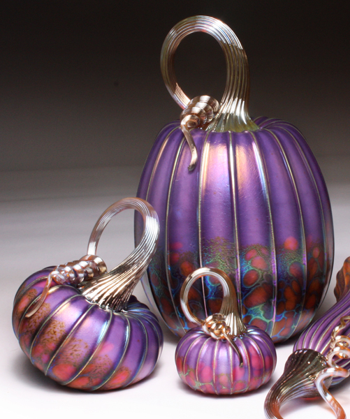 Jack Pine : Compliments Gallery