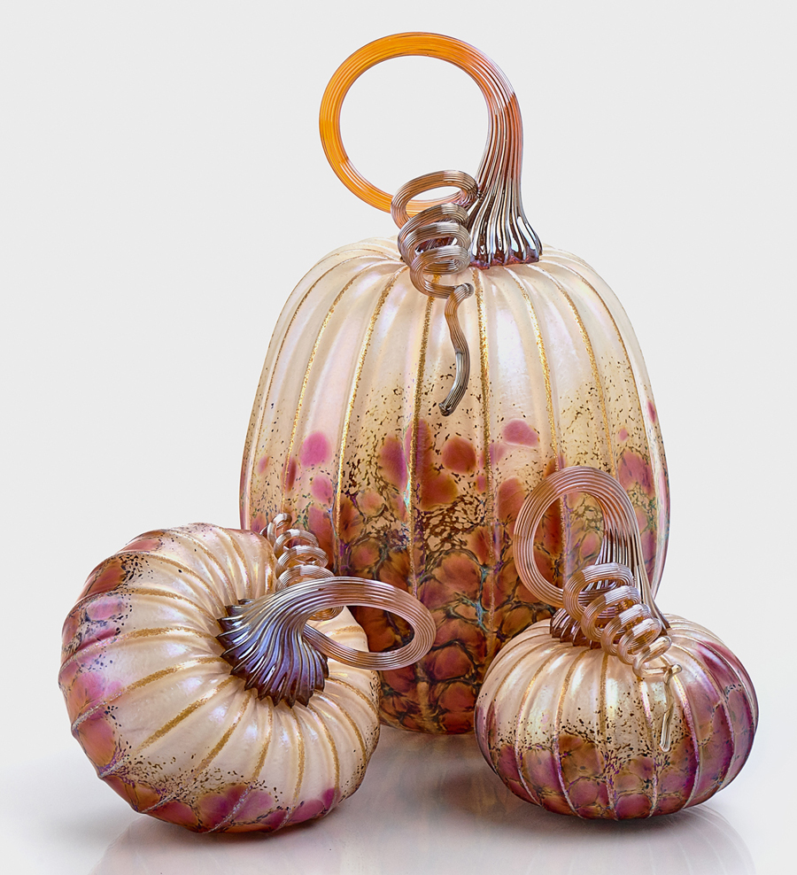 Jack Pine : Compliments Gallery